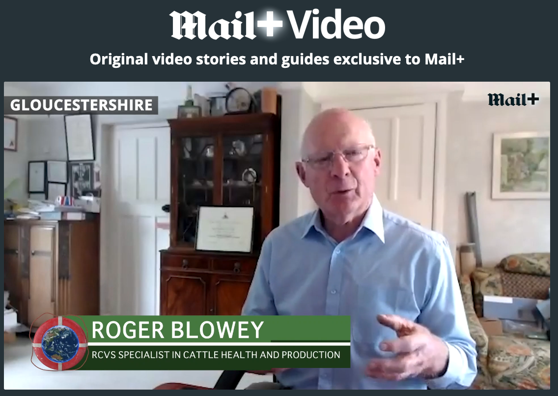 Balanced video on badger culling published by Planet SOS | VAWM News